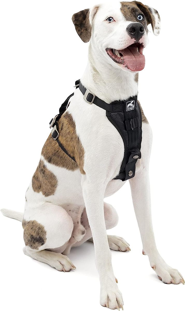 Stylish and Functional Dog Harnesses