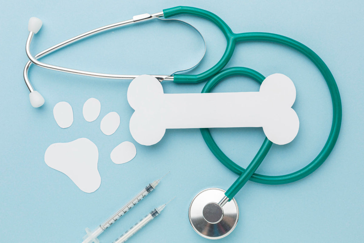 Unveiling the Hidden Benefits of Pet Medical Insurance