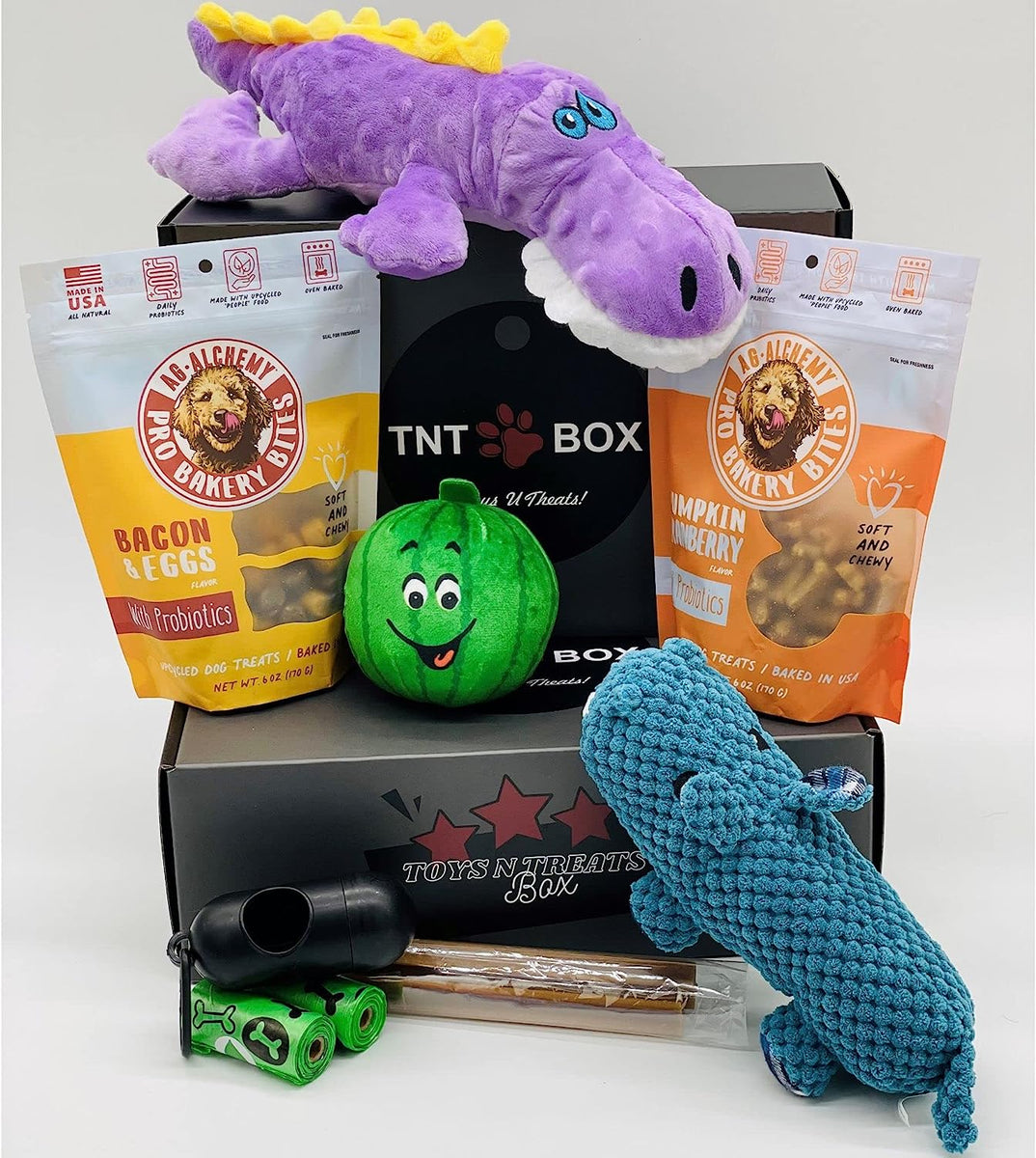 Tail-Wagging Surprises with Curated Monthly Dog Boxes