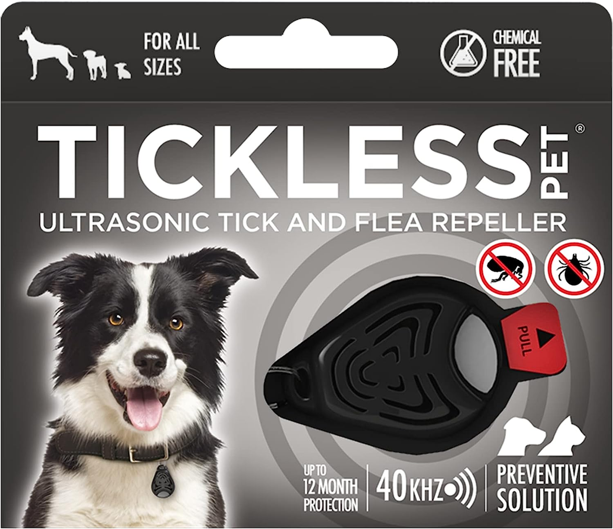 Indoor Flea & Tick Treatments for Your Home or Office