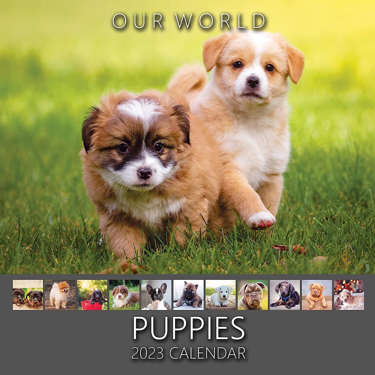 Dog-inspired Calendars & Stationery for Dog Lovers